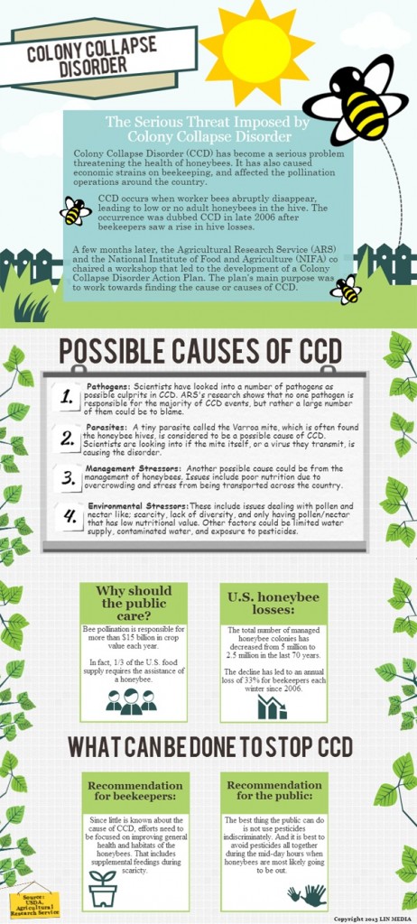 6 Colony Collapse Disorder Statistics - HRF