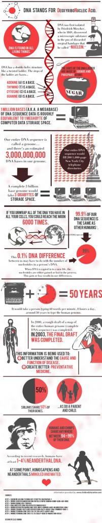 Trisomy 13 Life Expectancy - HRF
