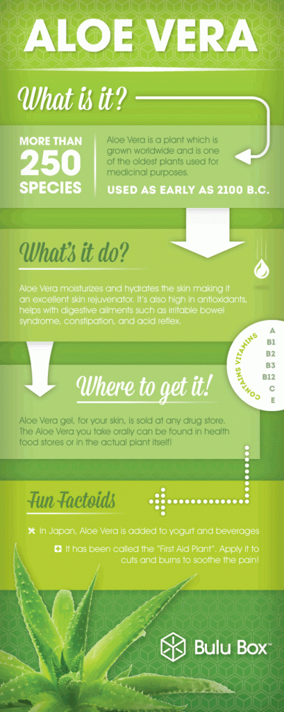 Aloe Vera What Is It - HRF