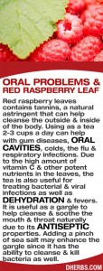 Red Raspberry Leaf Tea Benefits - HRF