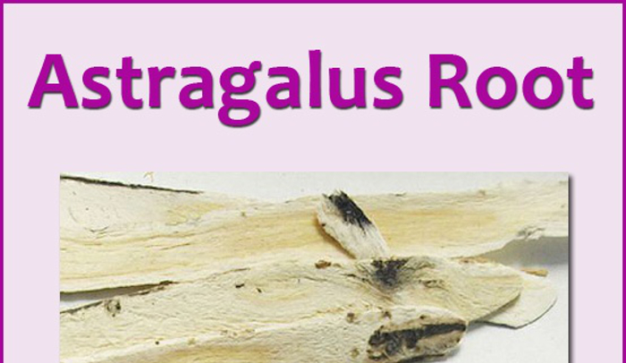 Astragalus Root Benefits - HRF