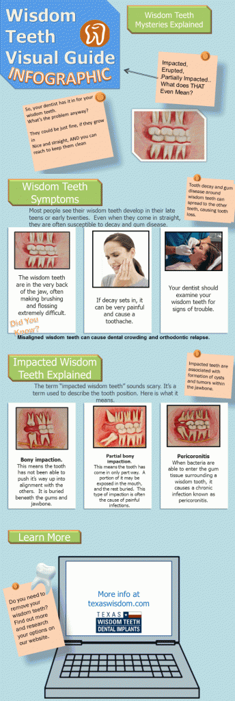 Wisdom Teeth Visual Guide - HRF