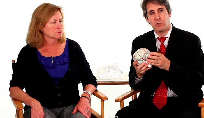 14 Pros and Cons of a Left Temporal Lobectomy - HRF