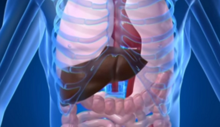 Aldolase Blood Test Results Fully Explained - HRF