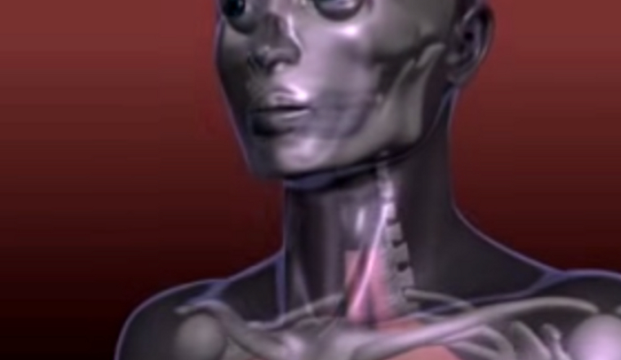 TB Blood Test Results Explained - HRF