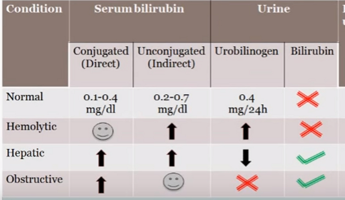 ALK Blood Test Results Explained - HRF